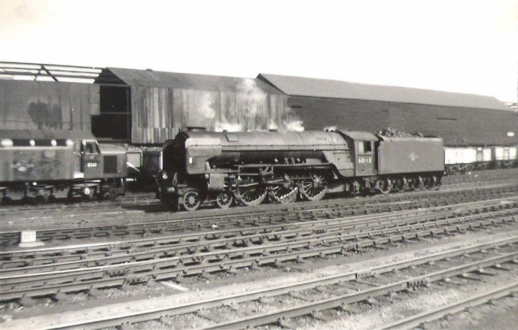 PHOTO 60148 ABOYEUR STANDS IN FRONT OF THE COALING STAGE AT GATESHEAD ...
