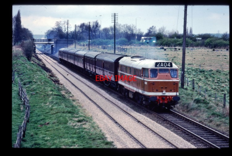 PHOTO BR CLASS 31 LOCO NO D5579 31161 | eBay
