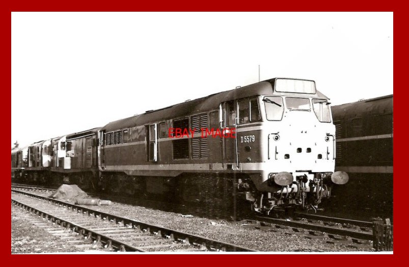 PHOTO BR CLASS 31 LOCO NO D5579 | eBay