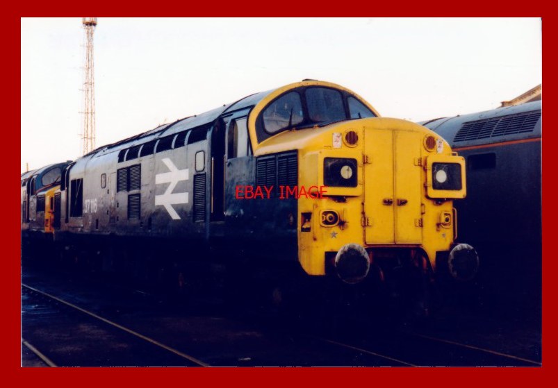 PHOTO BR CLASS 37 LOCO NO 37116 | eBay